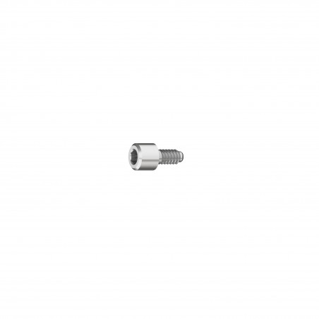 Flat Connection Titanium Retaining Screw